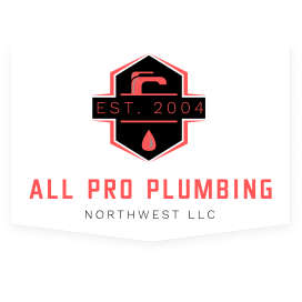 Water Leak Detection & Repair in Everett, WA | All Pro Plumbing